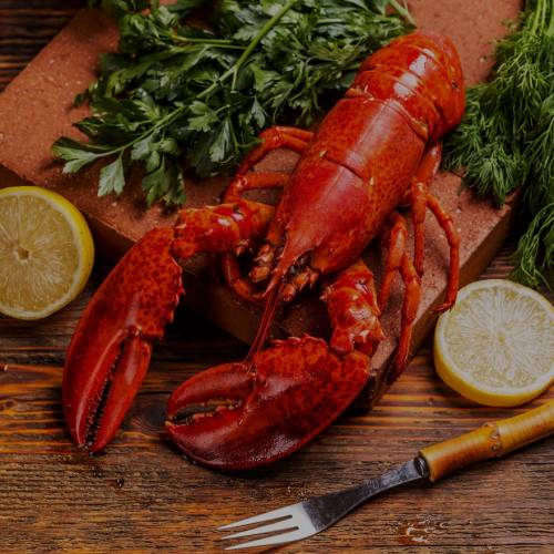 Seafood Market Raleigh | Earp's Seafood Market | Raleigh NC